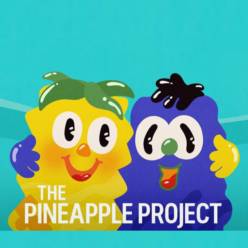 Dealing with the hard stuff: LessMess on The Pineapple Project | Less ...